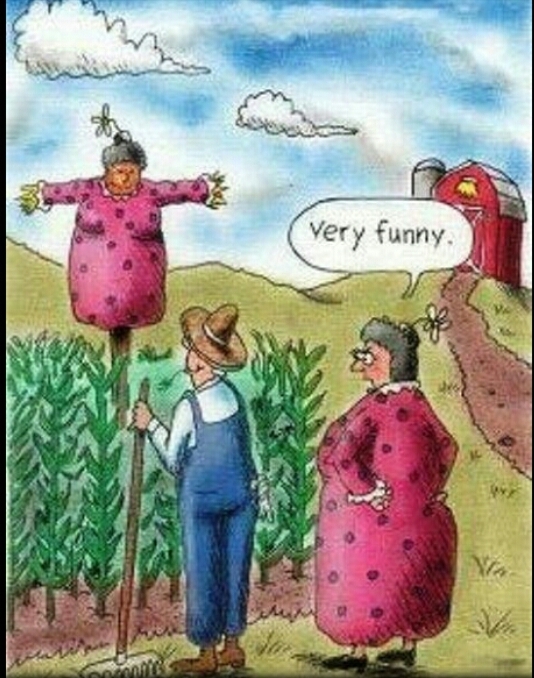 yes is very funny - Meme by Nad.T :) Memedroid