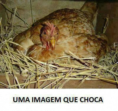 Chocante - Meme by Luiz007 :) Memedroid