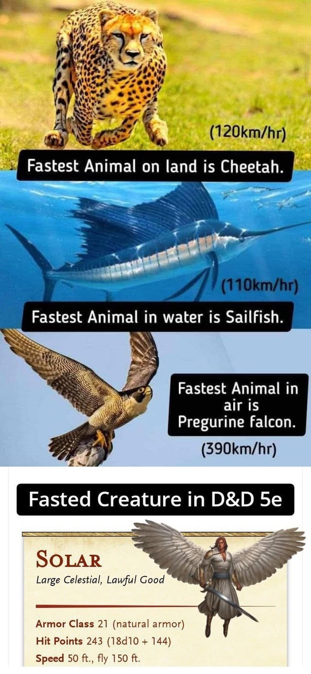 The best Speed memes :) Memedroid