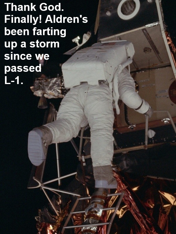 The Latest Memes :) Memedroid