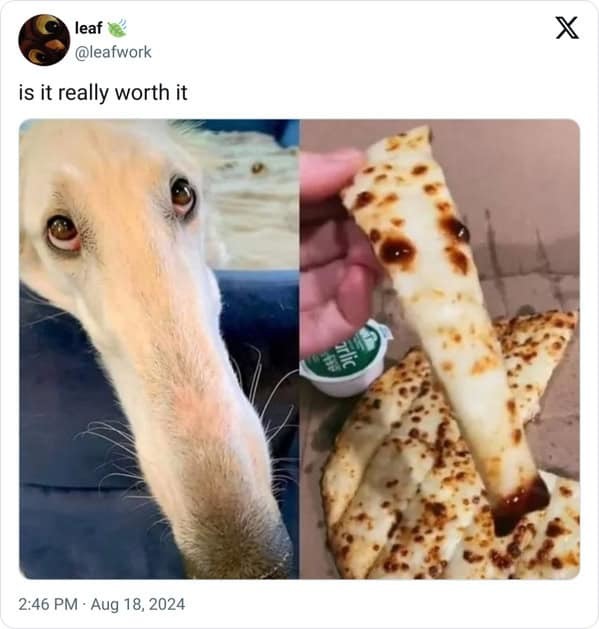 The Latest Memes :) Memedroid