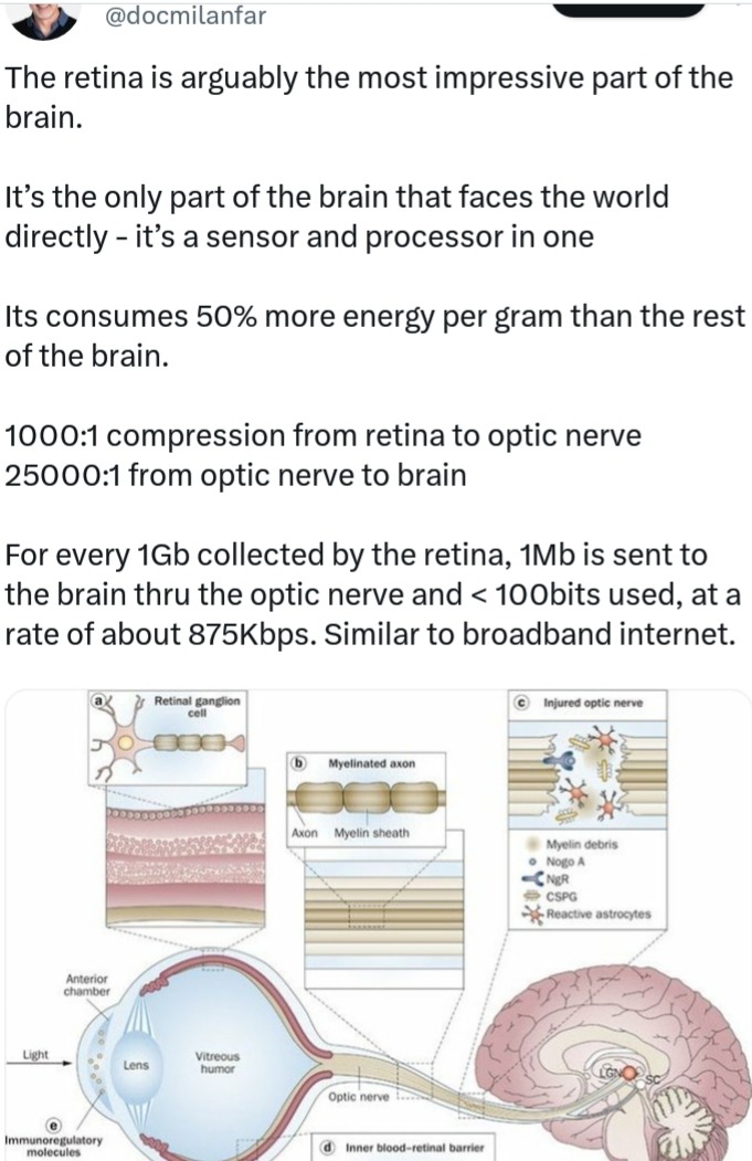 Latest memes / New memes :) Memedroid