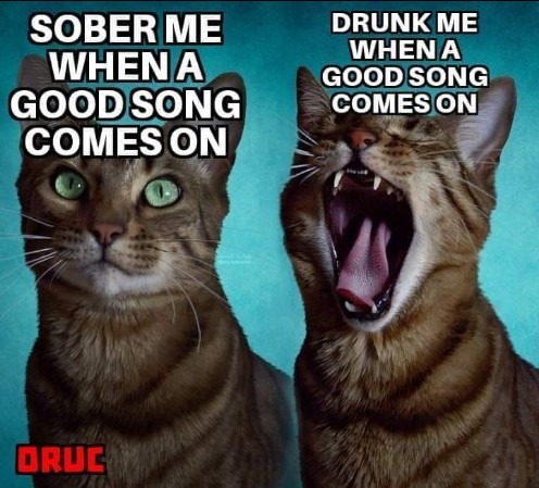 Sober now tho - Meme by Oruc :) Memedroid
