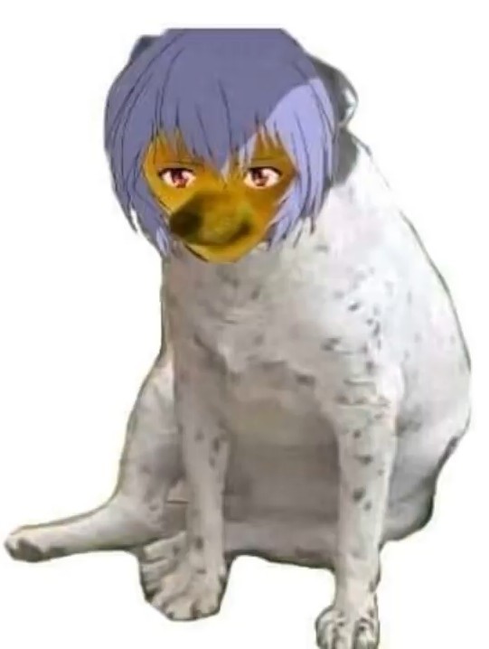 Rei cheems perro gei - Meme subido por Rei_Nazi :) Memedroid