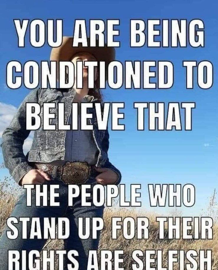 Latest memes / New memes :) Memedroid