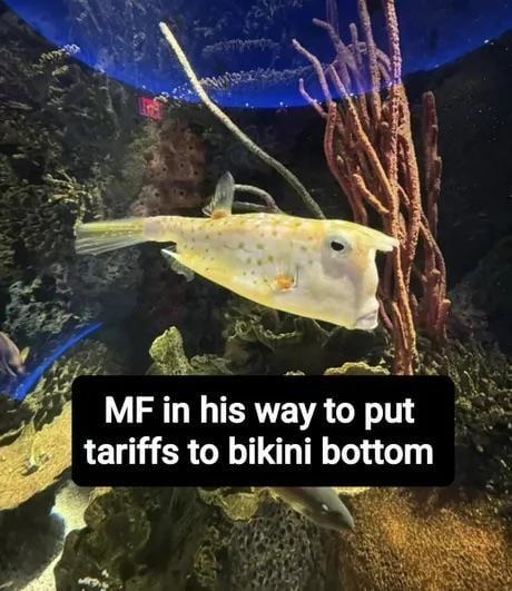 Latest memes / New memes :) Memedroid