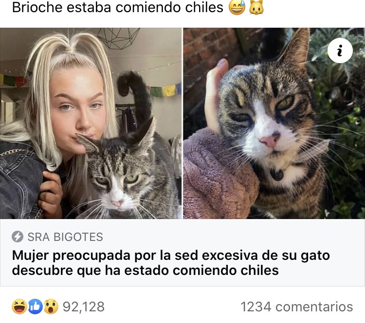 bru - Meme subido por Suricata123 :) Memedroid