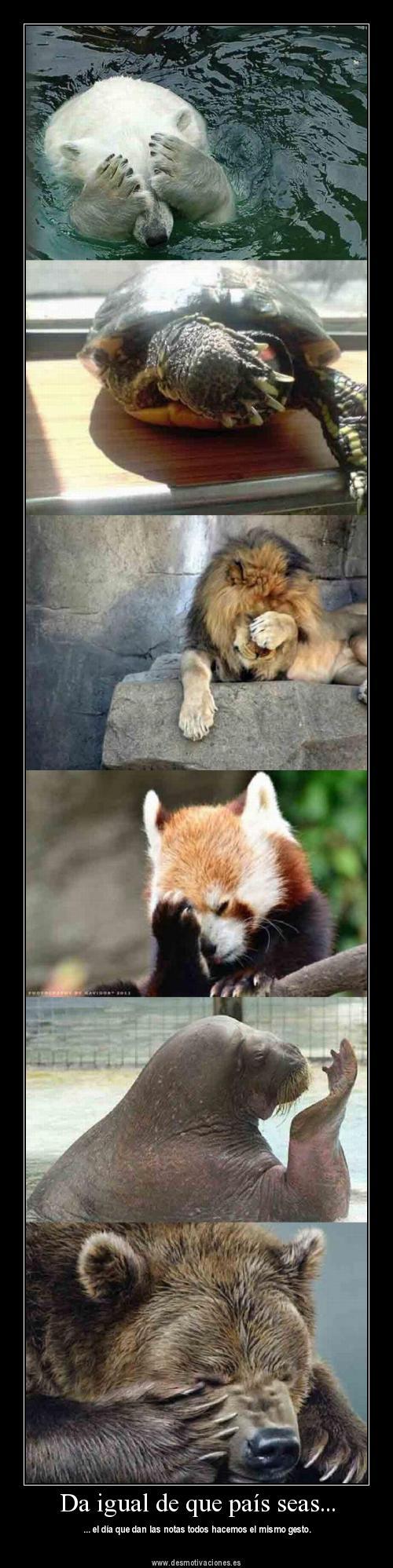 Meme 997789 subido por lqlorey1983 :) Memedroid