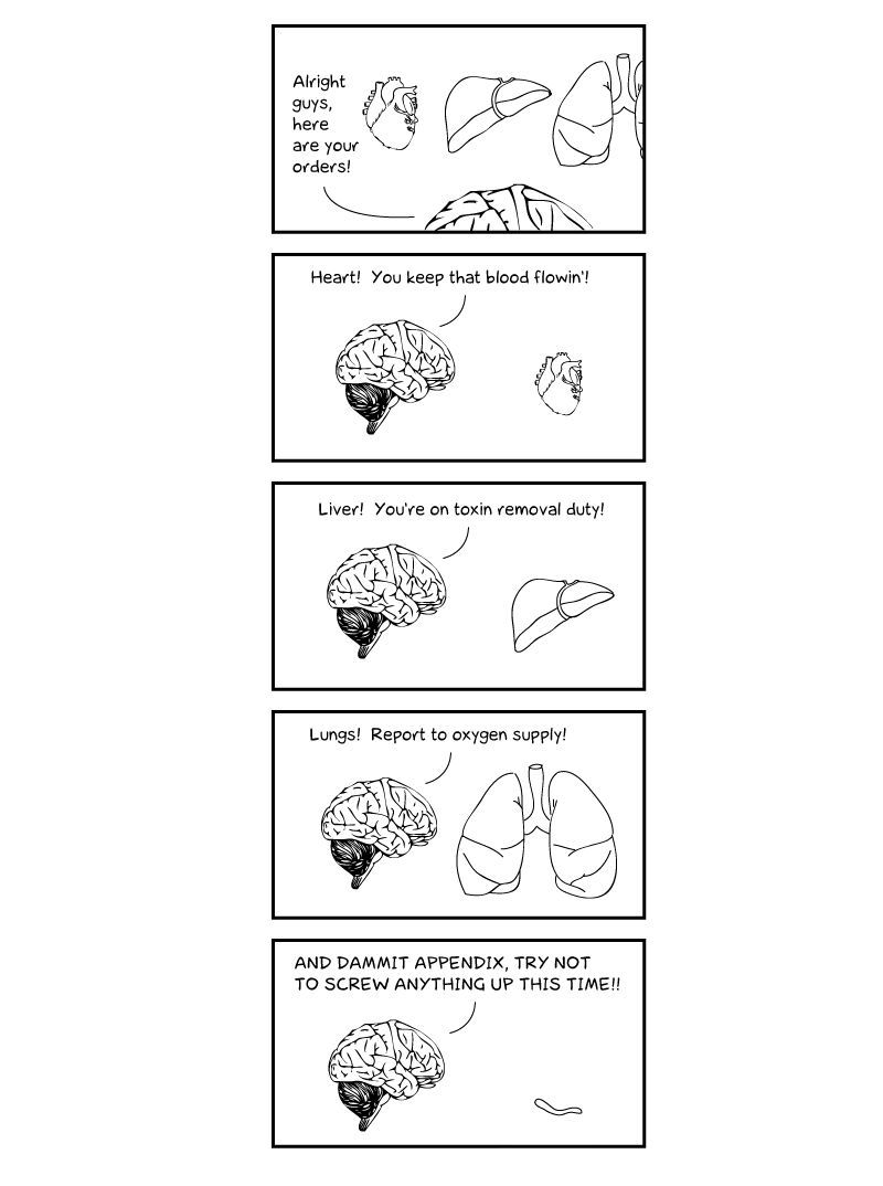 the body - Meme by mustafatopi :) Memedroid