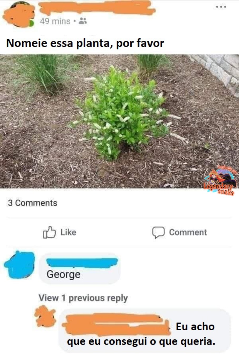 Conheça George, a planta ;) - Meme by legendarysnake :) Memedroid