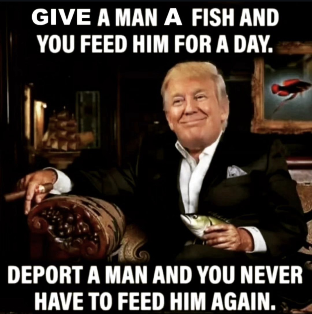 The Latest Memes :) Memedroid