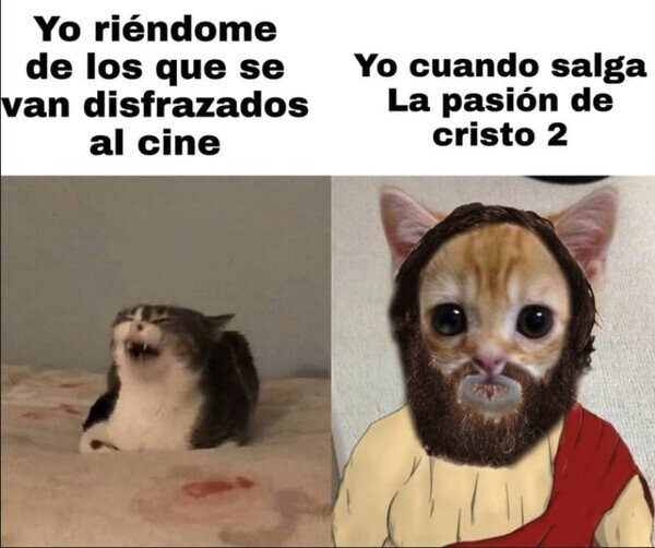 Los Últimos Memes :) Memedroid