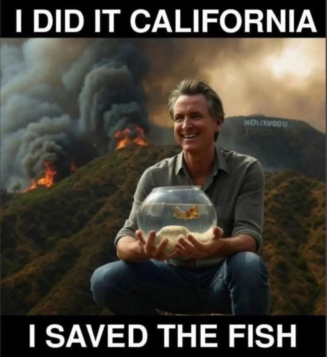 Latest memes / New memes :) Memedroid