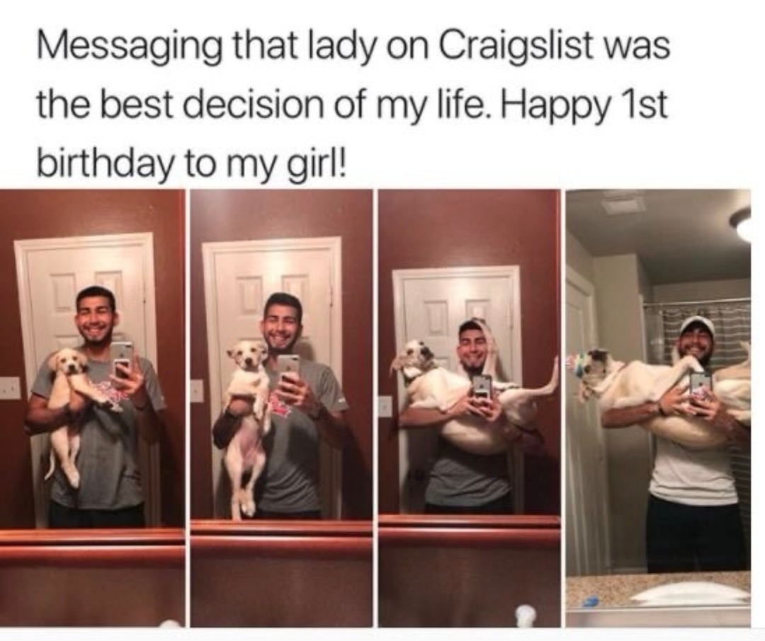 The best Success memes :) Memedroid