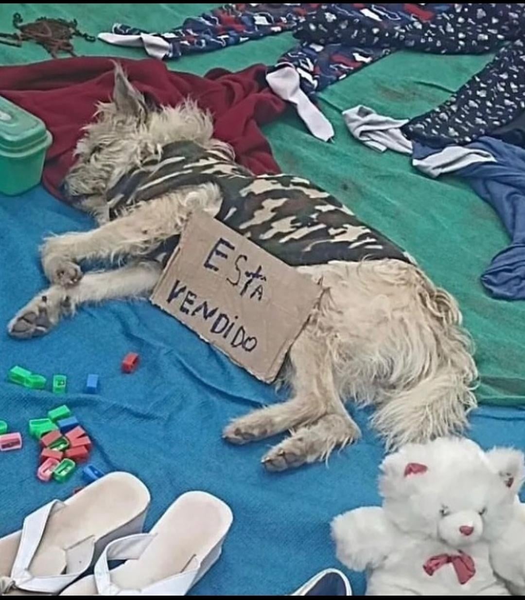 Los Últimos Memes :) Memedroid