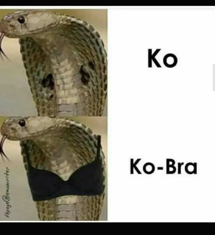 The best Memedroid memes :) Memedroid