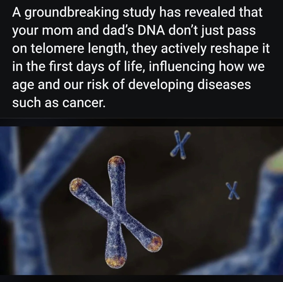 The best Genetics memes :) Memedroid