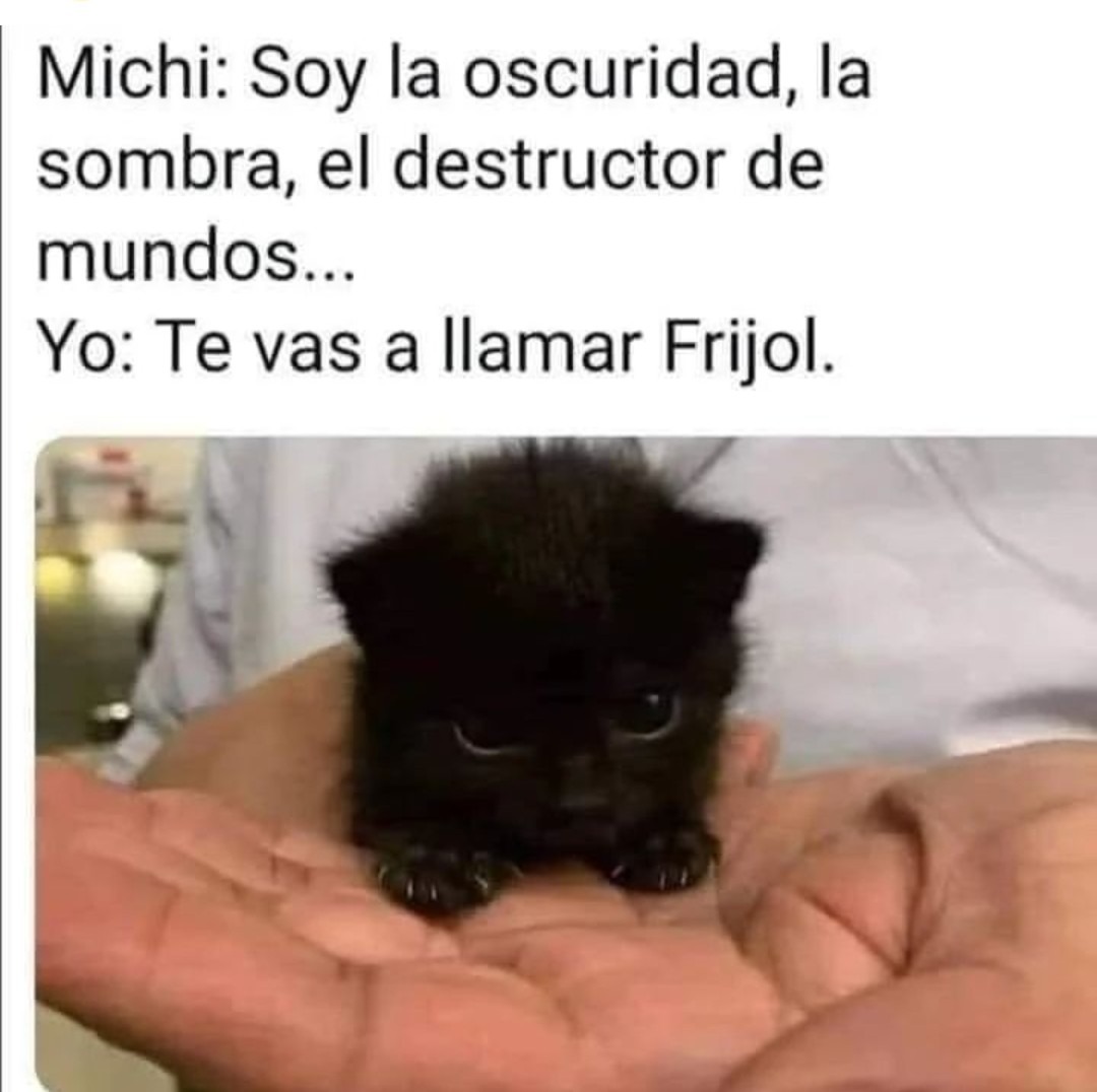 Los Últimos Memes :) Memedroid