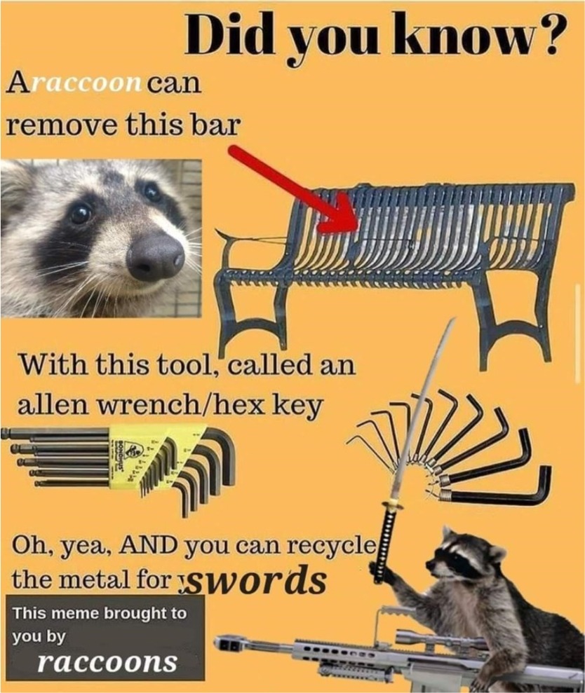 The best Raccoons memes :) Memedroid