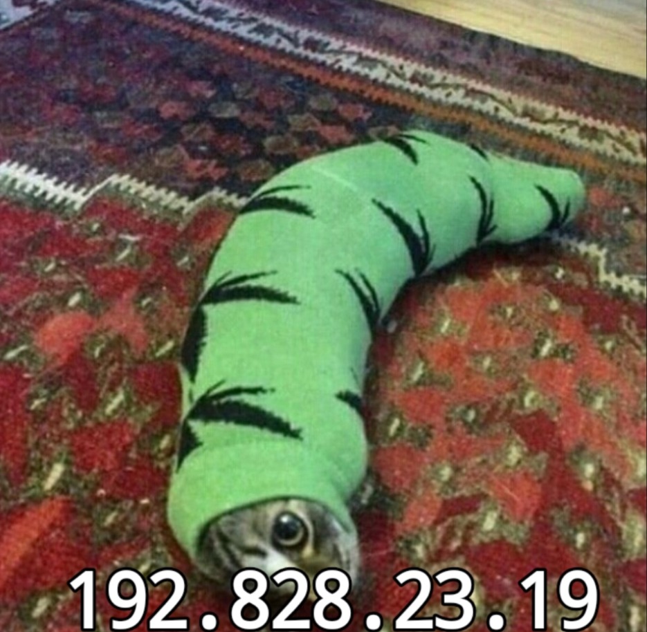 Hora del dox - Meme by elZorrodelDesierto :) Memedroid