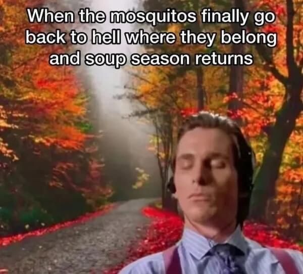 The best Seasons memes :) Memedroid