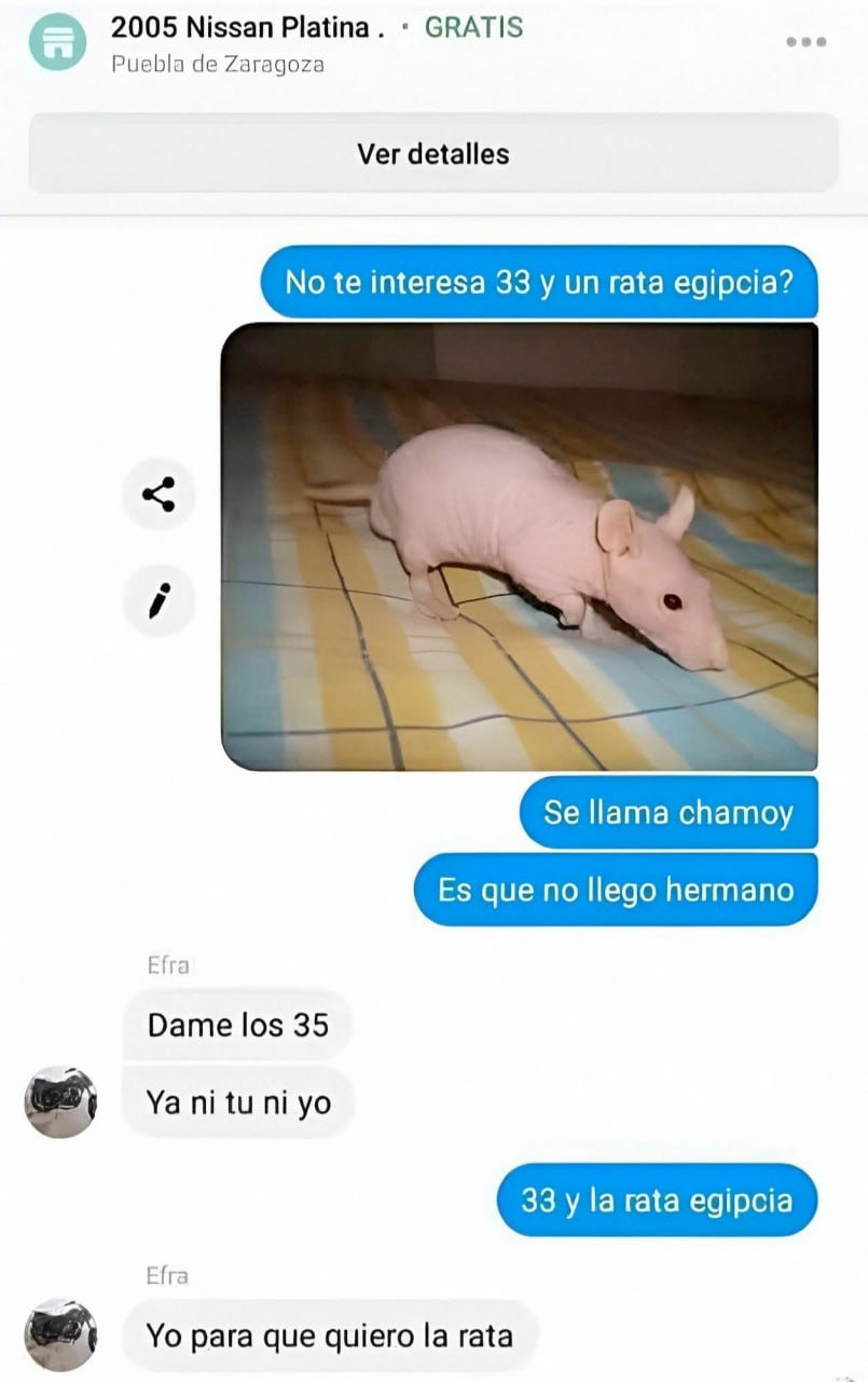 Top memes de Ratas en español :) Memedroid