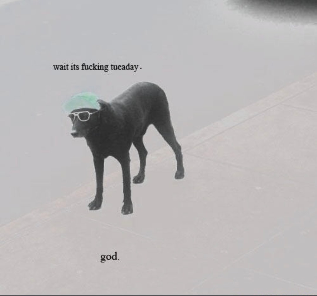 Explore the newest Tuesday memes on Memedroid!