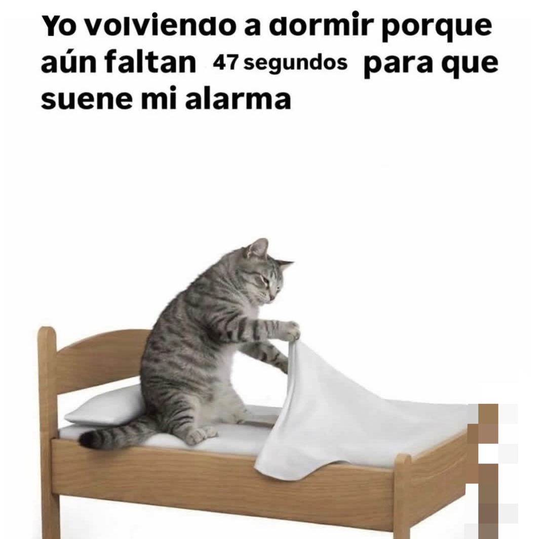 Top memes de Segundos Valiosos en español :) Memedroid