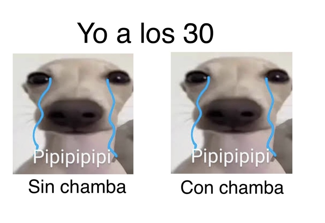 Los Últimos Memes :) Memedroid