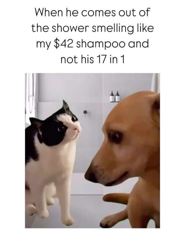 The best Shampoo memes :) Memedroid
