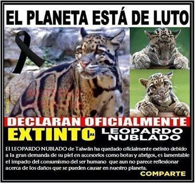 el planeta esta de luto - Meme subido por elizabethfuentes45 :) Memedroid