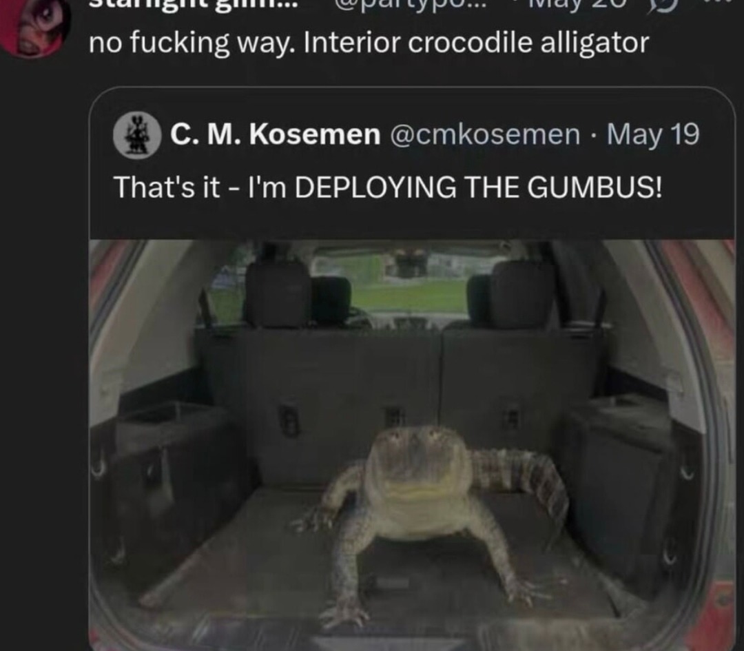 The best Gumbus memes :) Memedroid