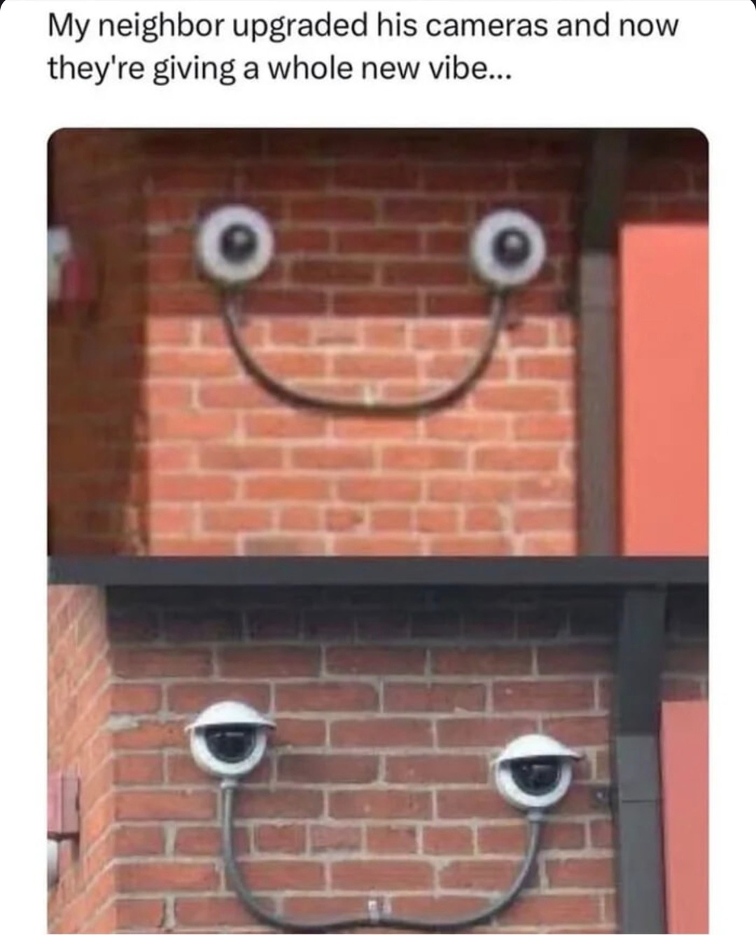 The best Neighbor memes :) Memedroid