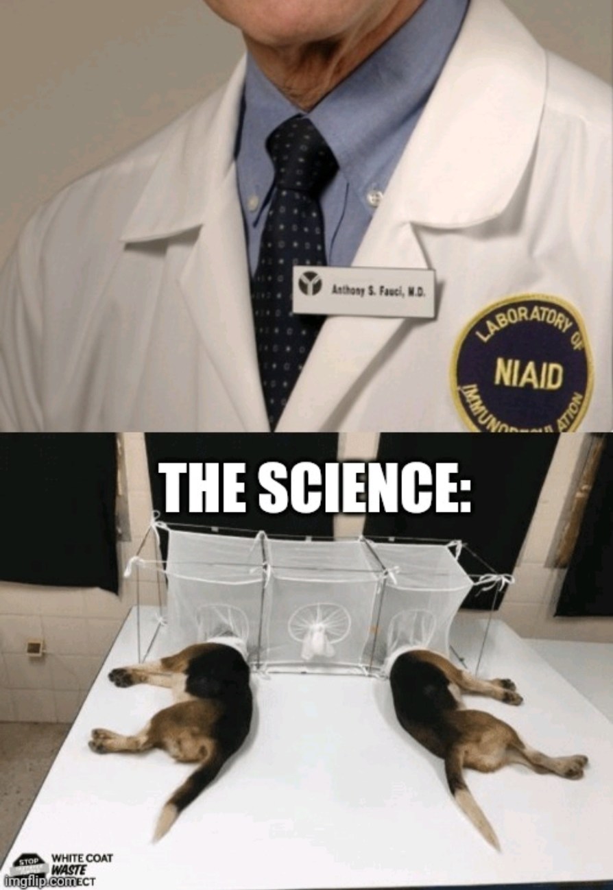 Never forget - Meme by BrainlessGuyReturns :) Memedroid