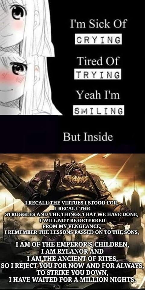 Latest memes / New memes :) Memedroid