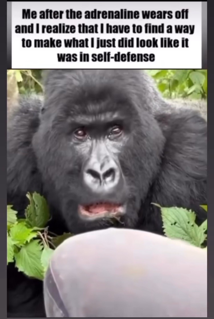 oopsy whoopsies - Meme by Username_Redacted :) Memedroid