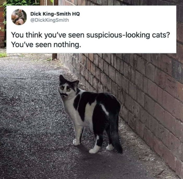 The best Sus memes :) Memedroid