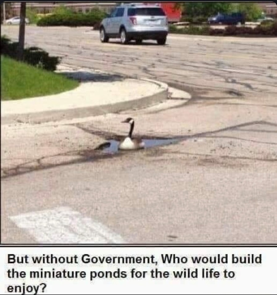 The best Nature memes :) Memedroid