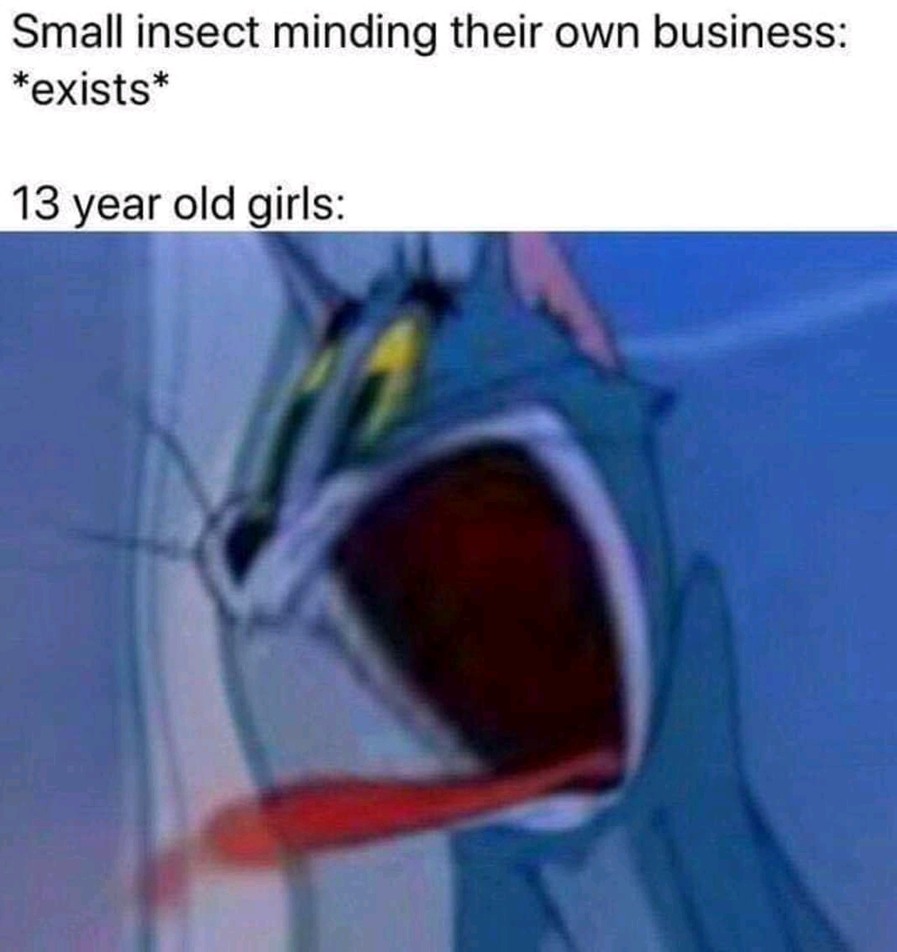 Female Owned Memes 30 Wise Women's Memes For Confident Women Who Trust