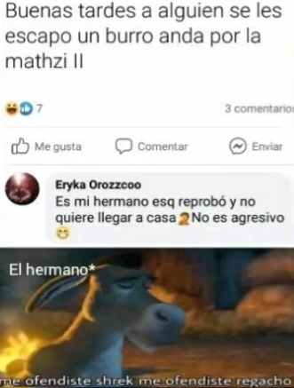 Shrek Y Burro Memes
