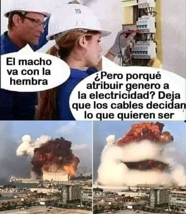 Estupid - Meme subido por Cark :) Memedroid