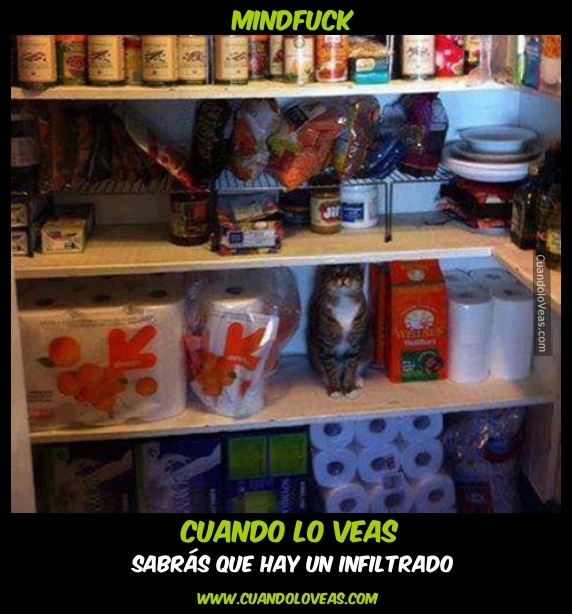 infiltrado - Meme subido por vkalibrev :) Memedroid