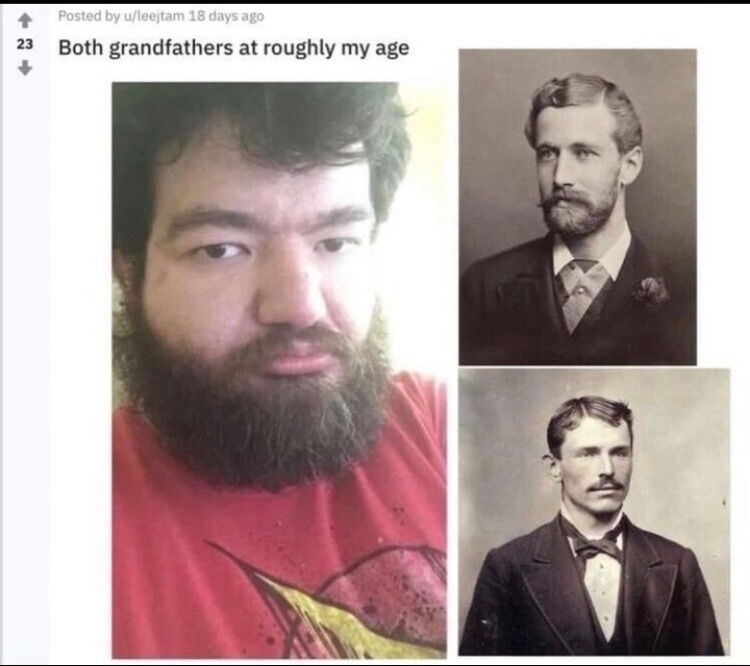 The soybean oil revolution and its consequences - Meme by Username ...