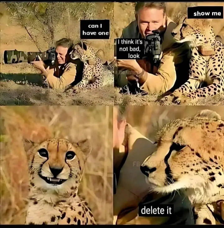 The Latest Memes :) Memedroid