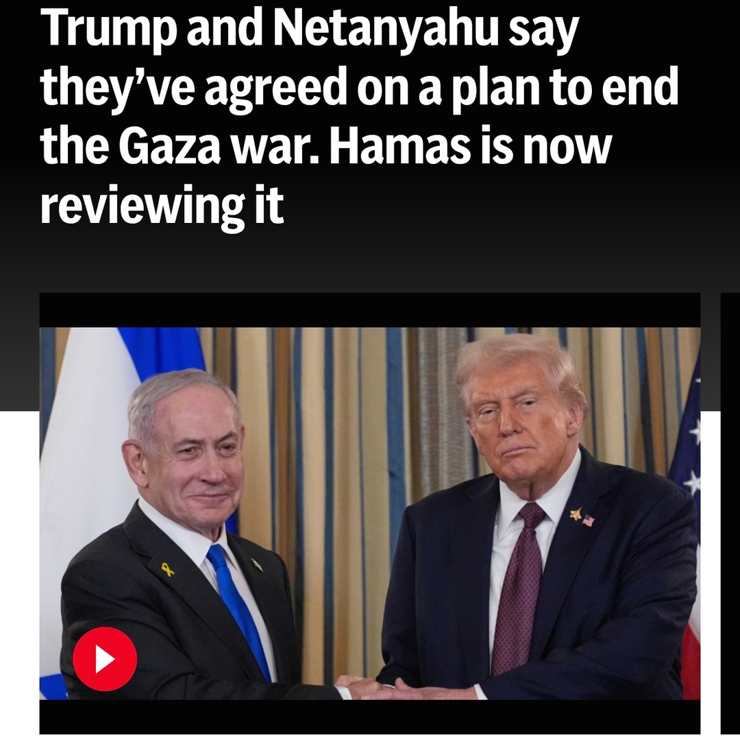 The best Gaza memes :) Memedroid