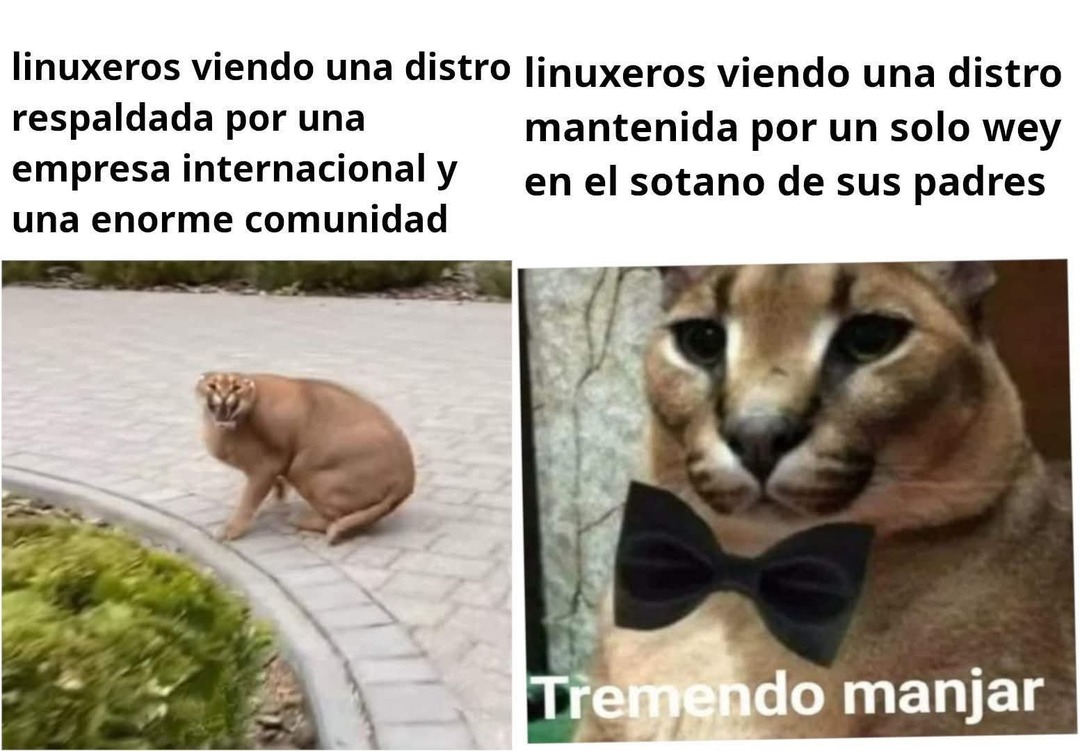 Top memes de Distros en español :) Memedroid