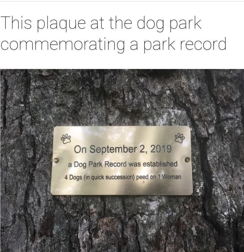 The best Record memes :) Memedroid