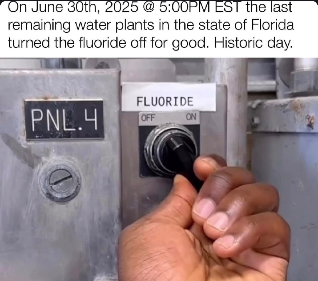 The best Florida memes :) Memedroid