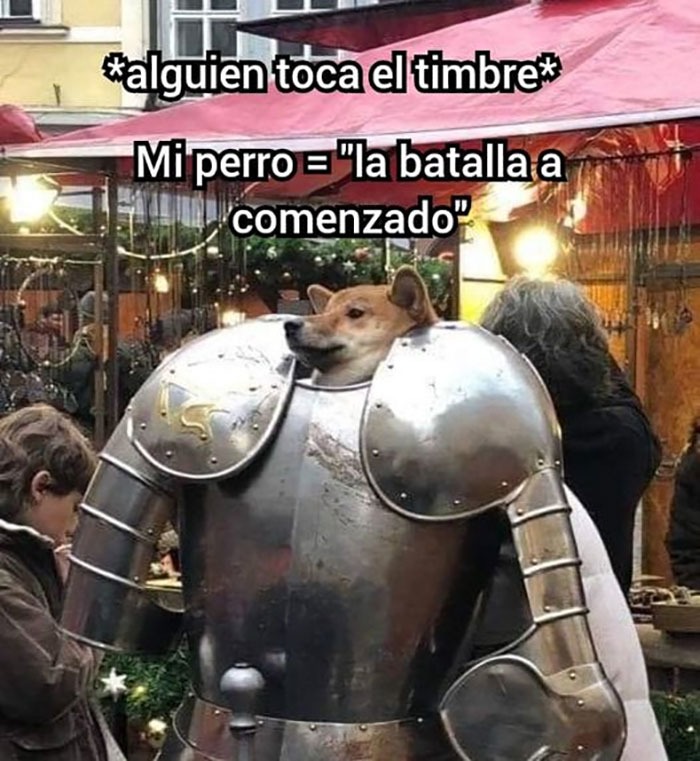 Top memes de Perros en español :) Memedroid