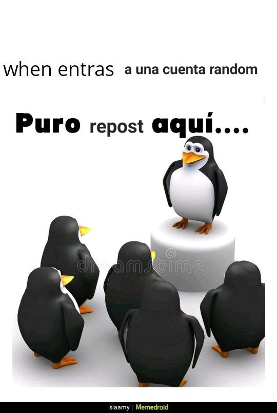 Top memes de Random en español :) Memedroid